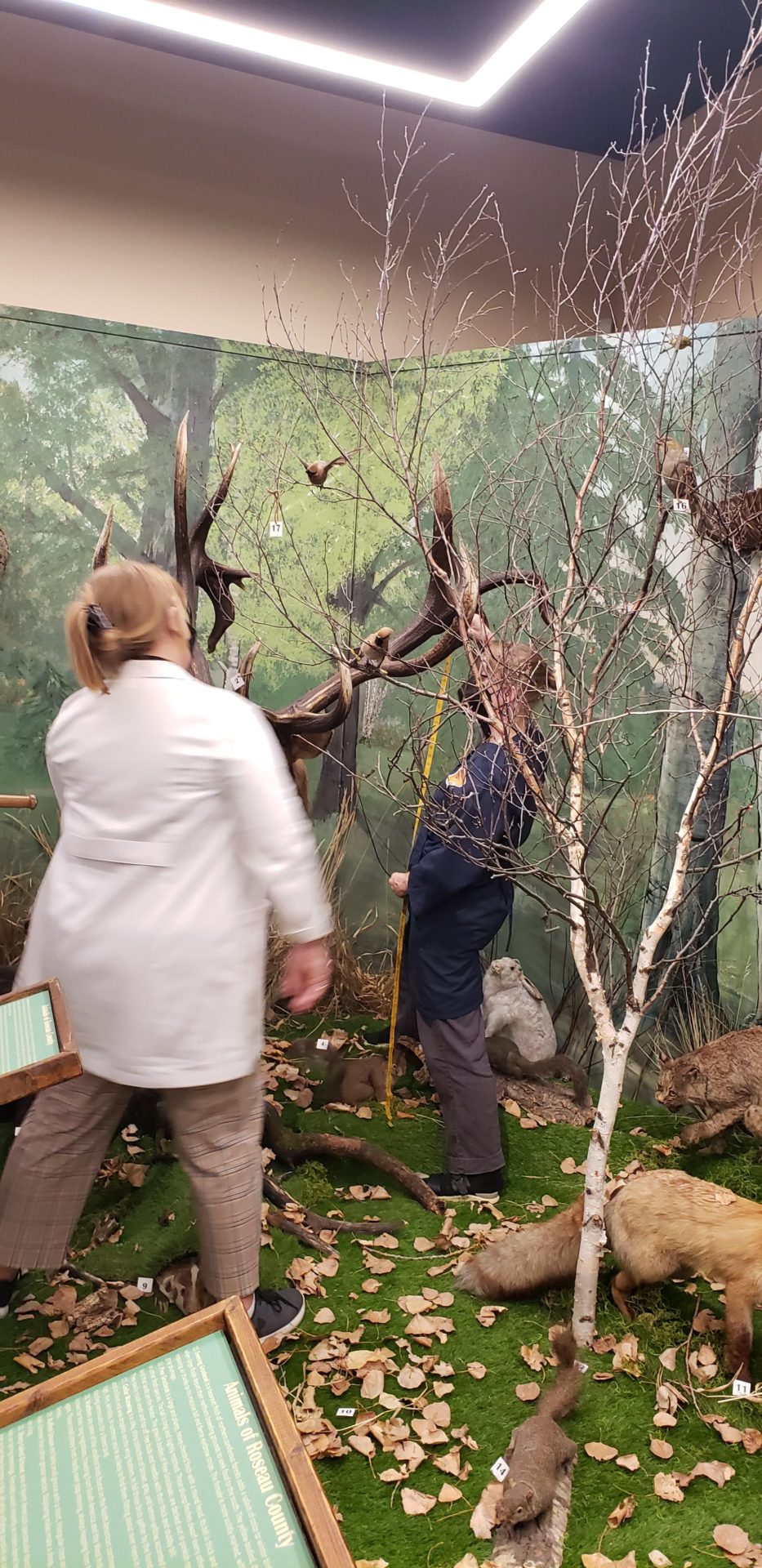 20210722_143841 | Roseau County Historical Society and Museum