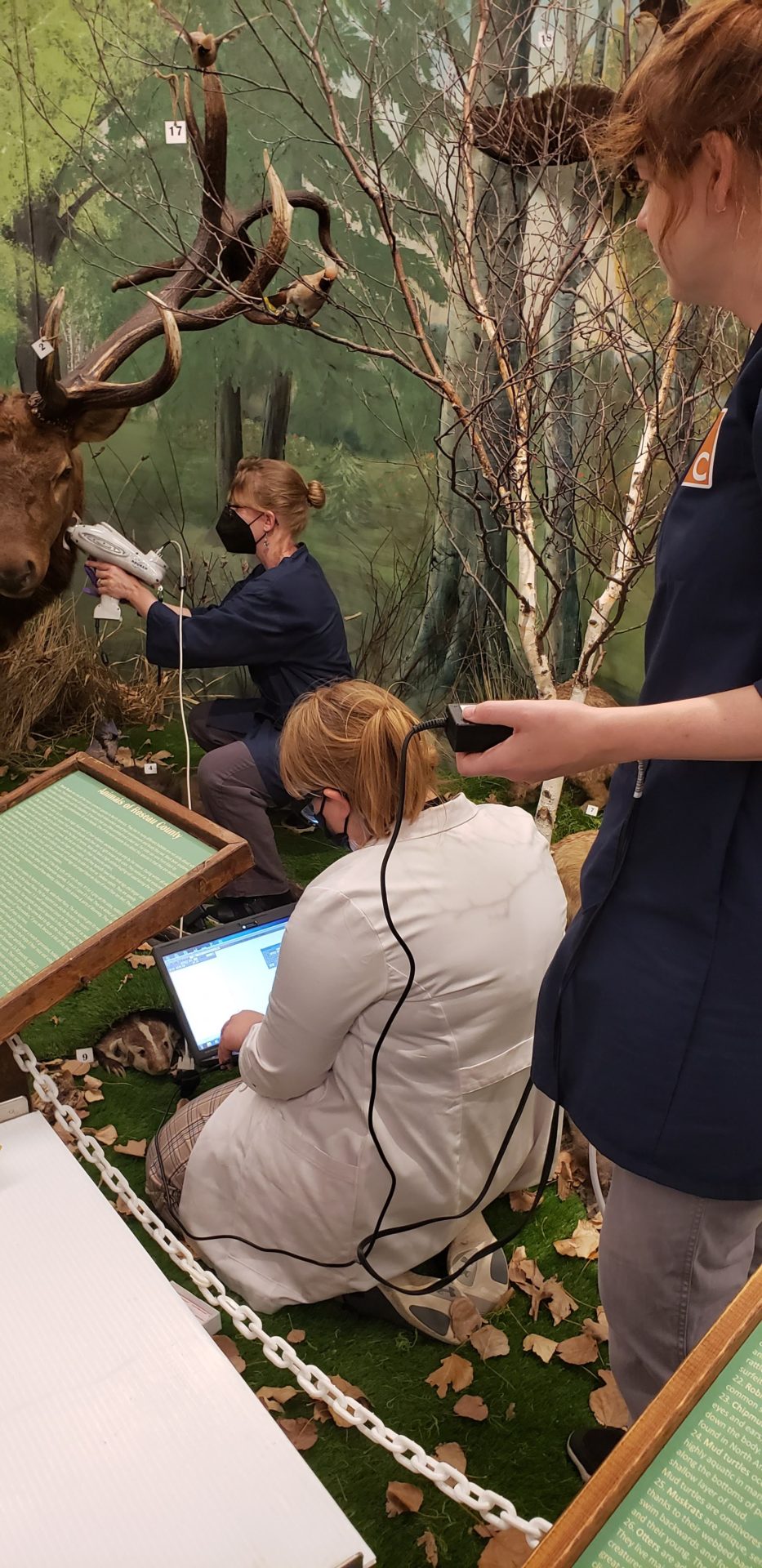 20210722_144605 | Roseau County Historical Society and Museum